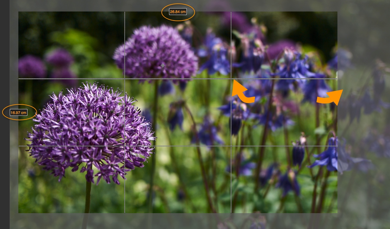 Recompose with Ease - Photo Editing Tutorials, Tips & Tricks - Capture ...