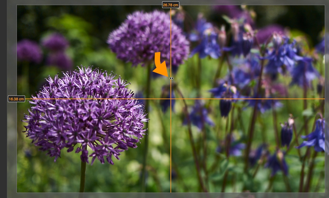Recompose with Ease - Photo Editing Tutorials, Tips & Tricks - Capture ...
