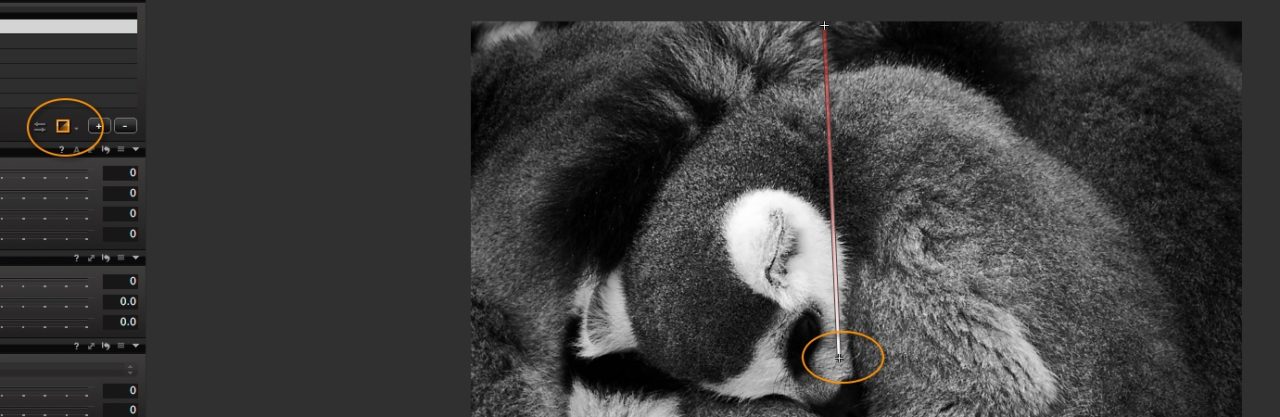 How to enhance details with Structure - Photo Editing Tutorials, Tips ...