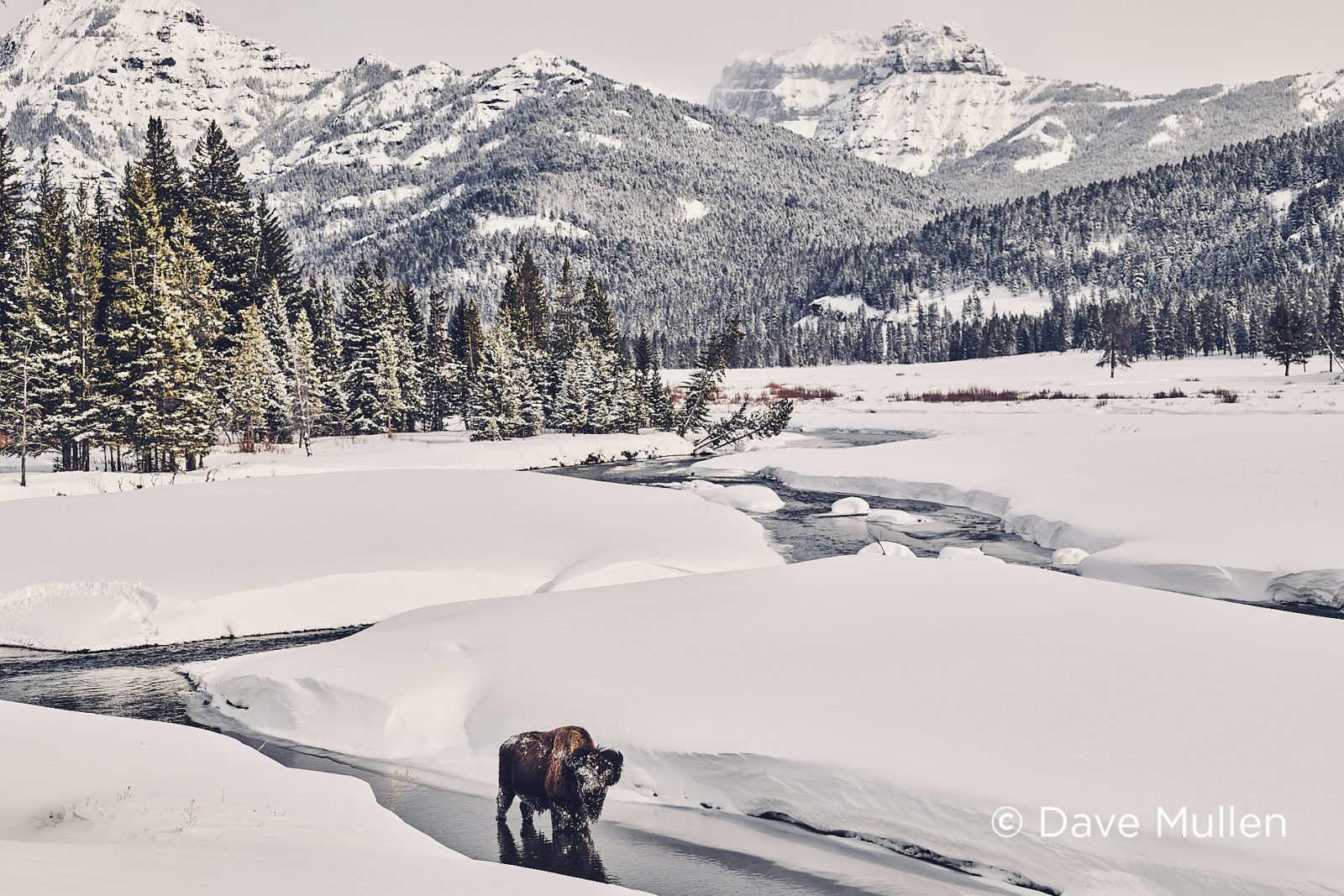 Why nature photographers need photo editing - Capture One