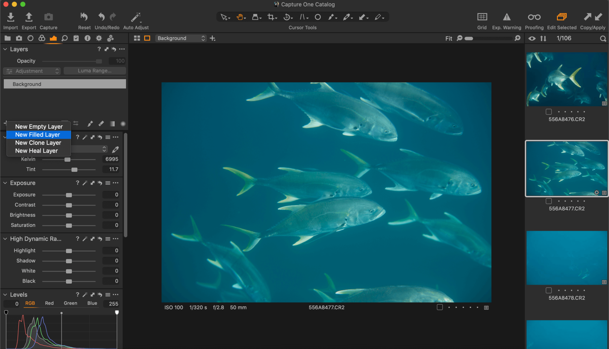 Why nature photographers need photo editing - Capture One