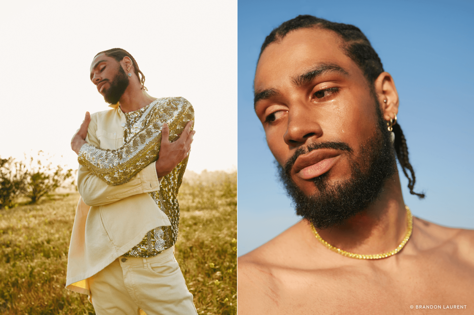 Brandon Laurent – Beauty Impact