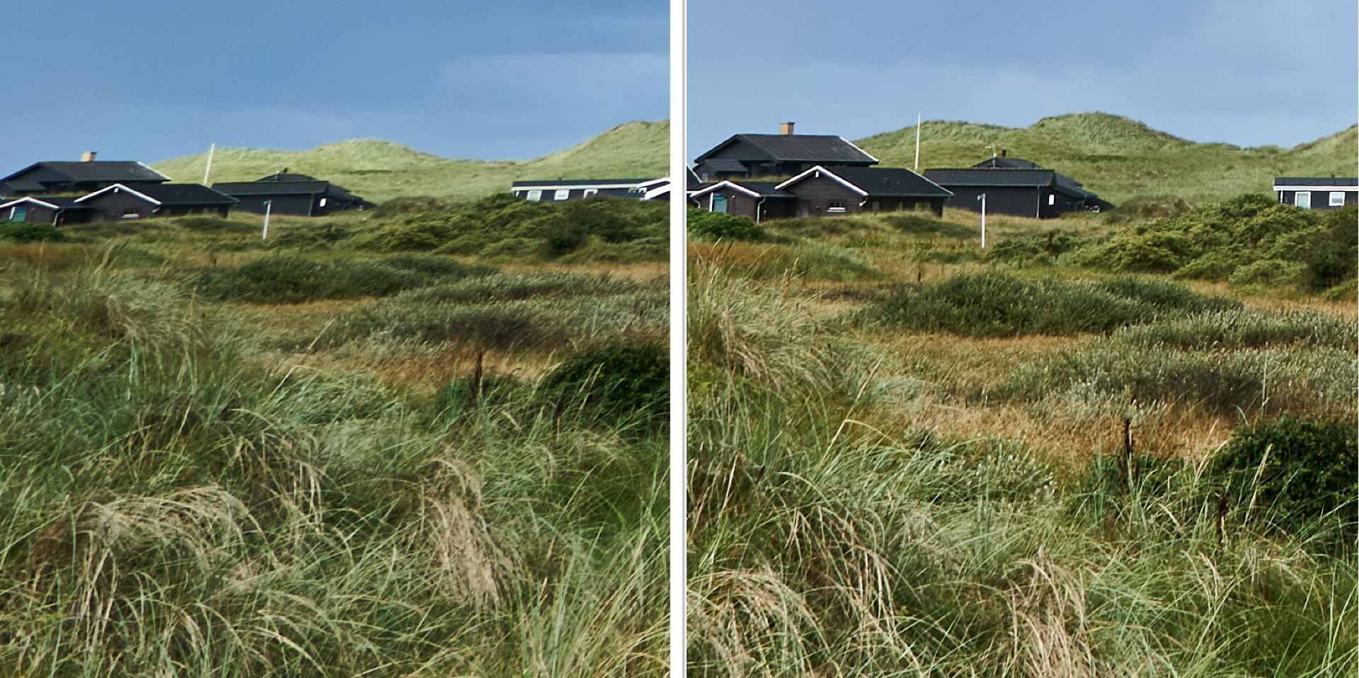 Five unexpected ways to use Panorama Stitch from Capture One experts ...