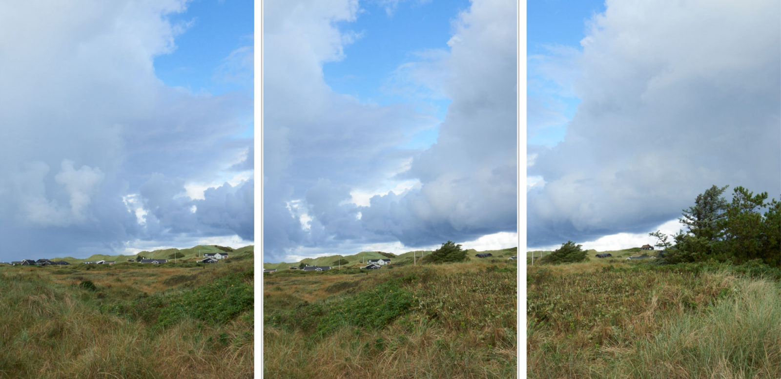 Five unexpected ways to use Panorama Stitch from Capture One experts ...