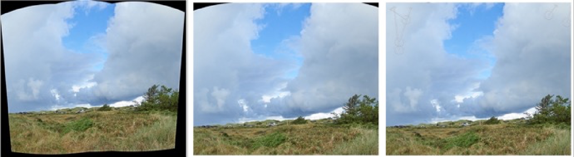 Five unexpected ways to use Panorama Stitch from Capture One experts ...