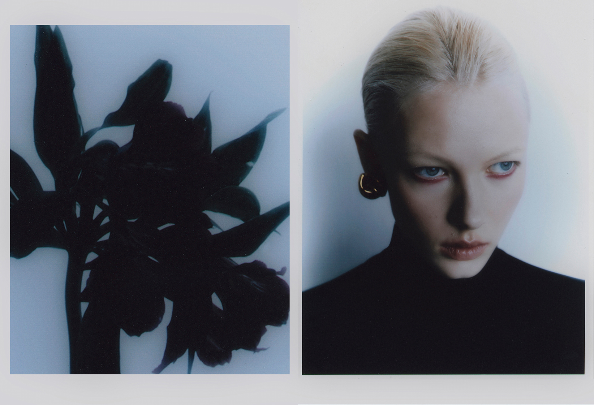 Who or what inspires you?