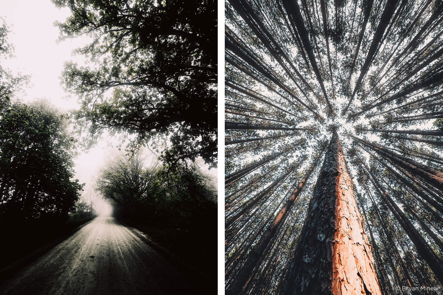 Color grading Fujifilm files with Bryan Minear - Photo Editing ...