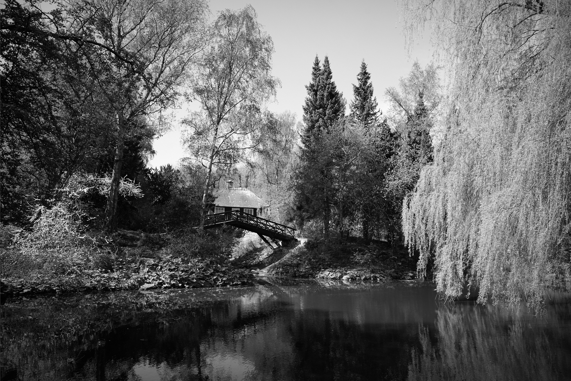 The IQ3 100MP Achromatic - Photo Editing Tutorials, Tips & Tricks ...