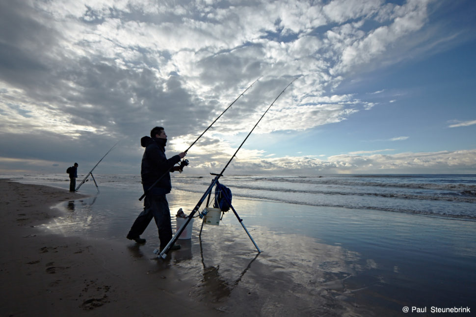 Preview Sizes and Offline Editing in Capture One Pro 7 - Photo Editing Tutorials, Tips & Tricks ...