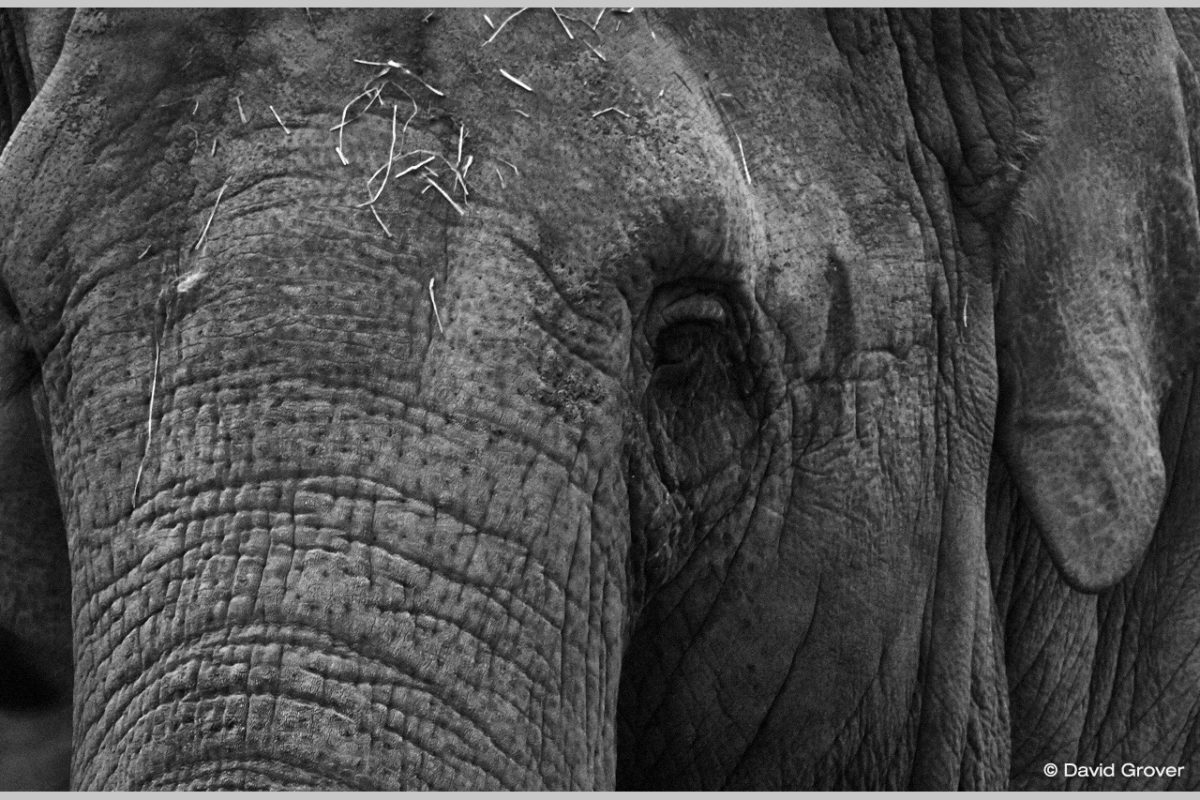 High-Contrast Scenes at Ormiston Gorge, Central Australia - Photo ...