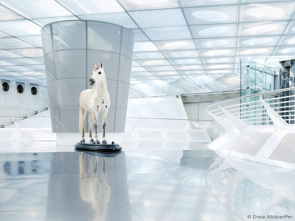 The Blue Ring Lens Family: The right lens for the right job - Photo ...