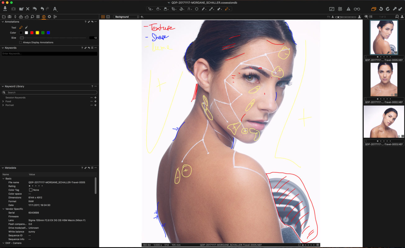 Annotations - What are they and how to use them? | Capture One Blog