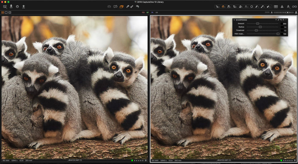 Confessions of a Beta Tester: Capture One Pro 10 Review - Photo Editing ...