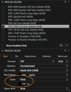 Advanced cropping tips for a faster workflow - Photo Editing Tutorials, Tips & Tricks - Capture ...