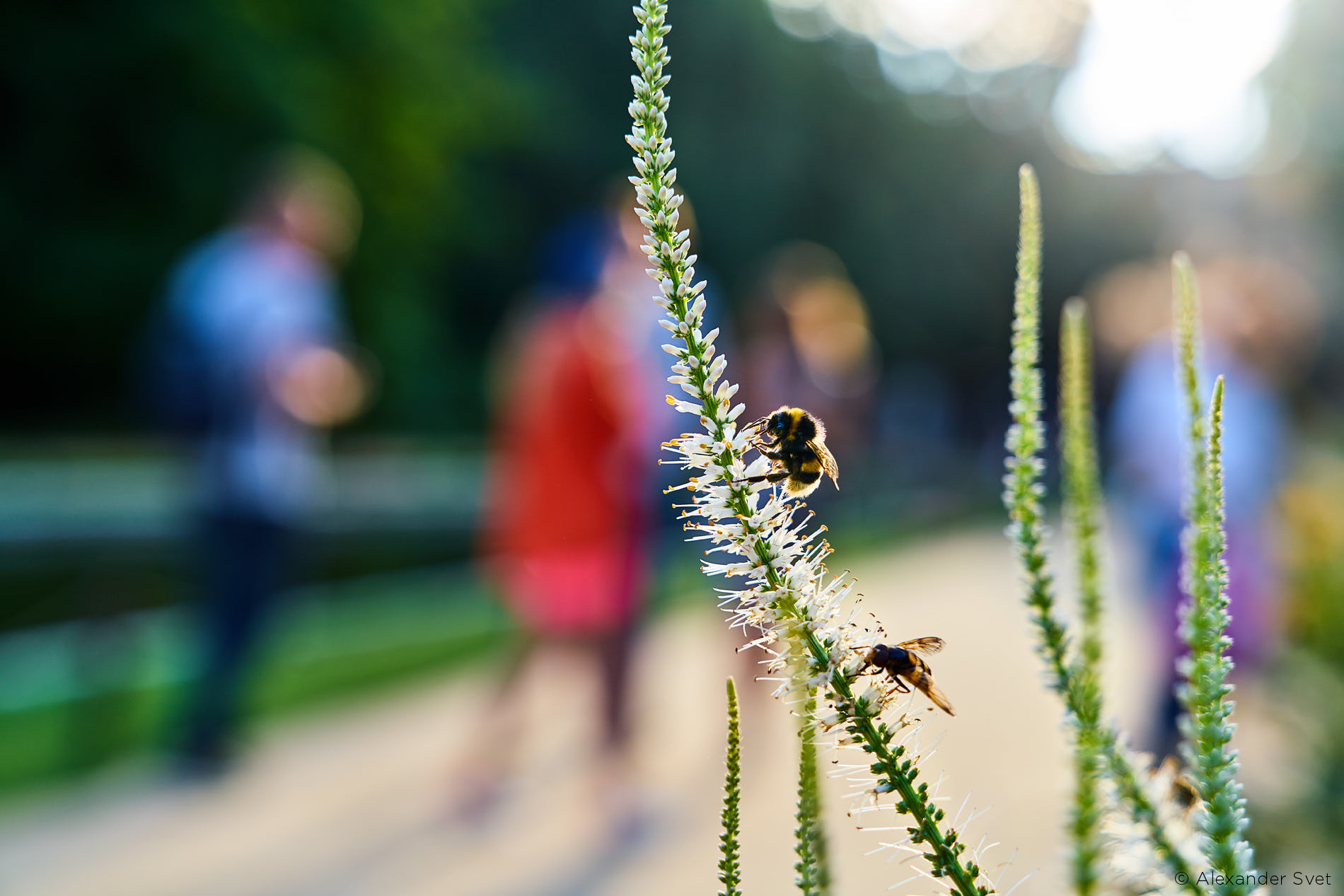 Capture One Pro 10 All New Features Review Photo Editing Tutorials Tips And Tricks Capture